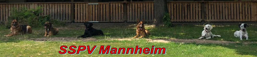 Willkommen beim SSPV - SSPV Mannheim
