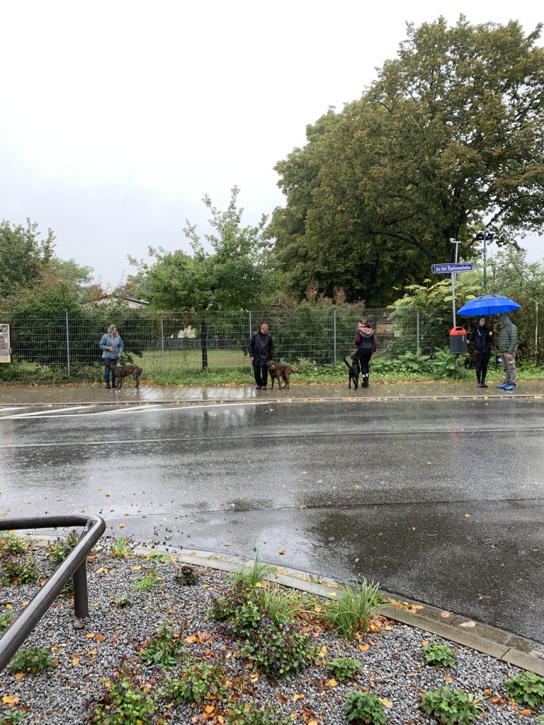 Herbstprüfung SSPV 2019 - SSPV Mannheim